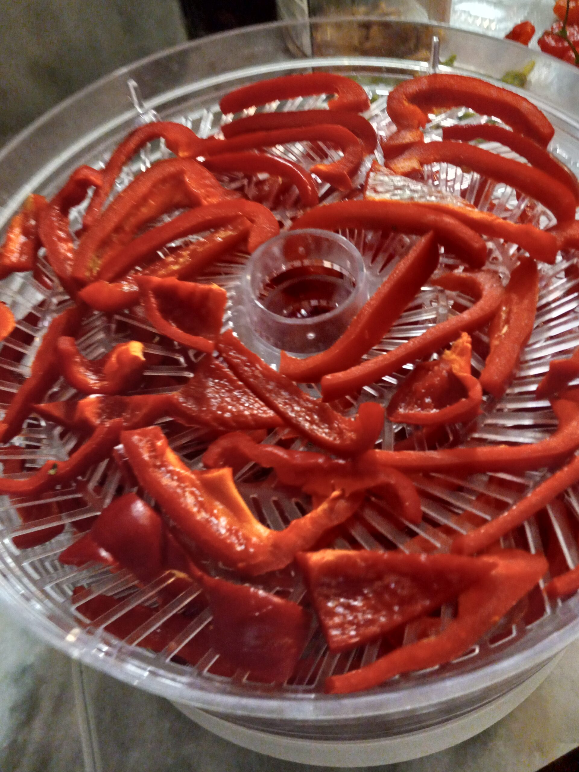 Homemade Paprika in 3 Easy Steps - My Plant Base Plate