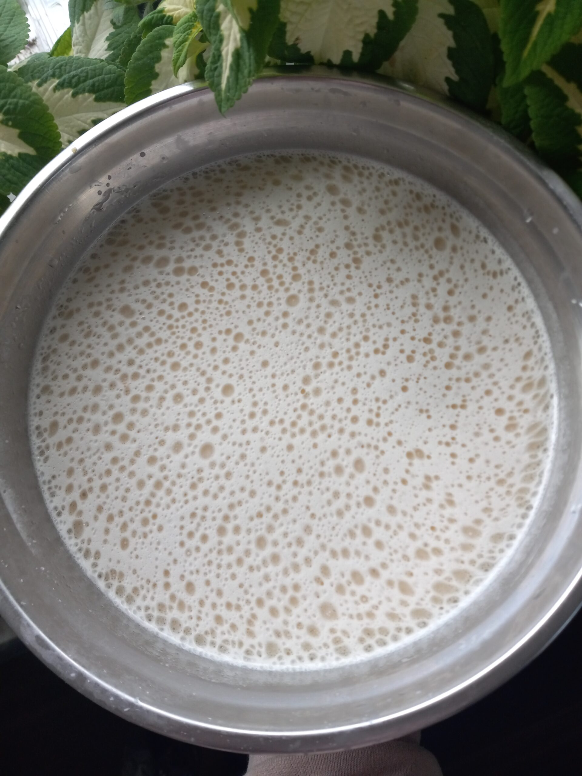 Jamaican - Inspired Cornmeal Pudding - My Plant Base Plate