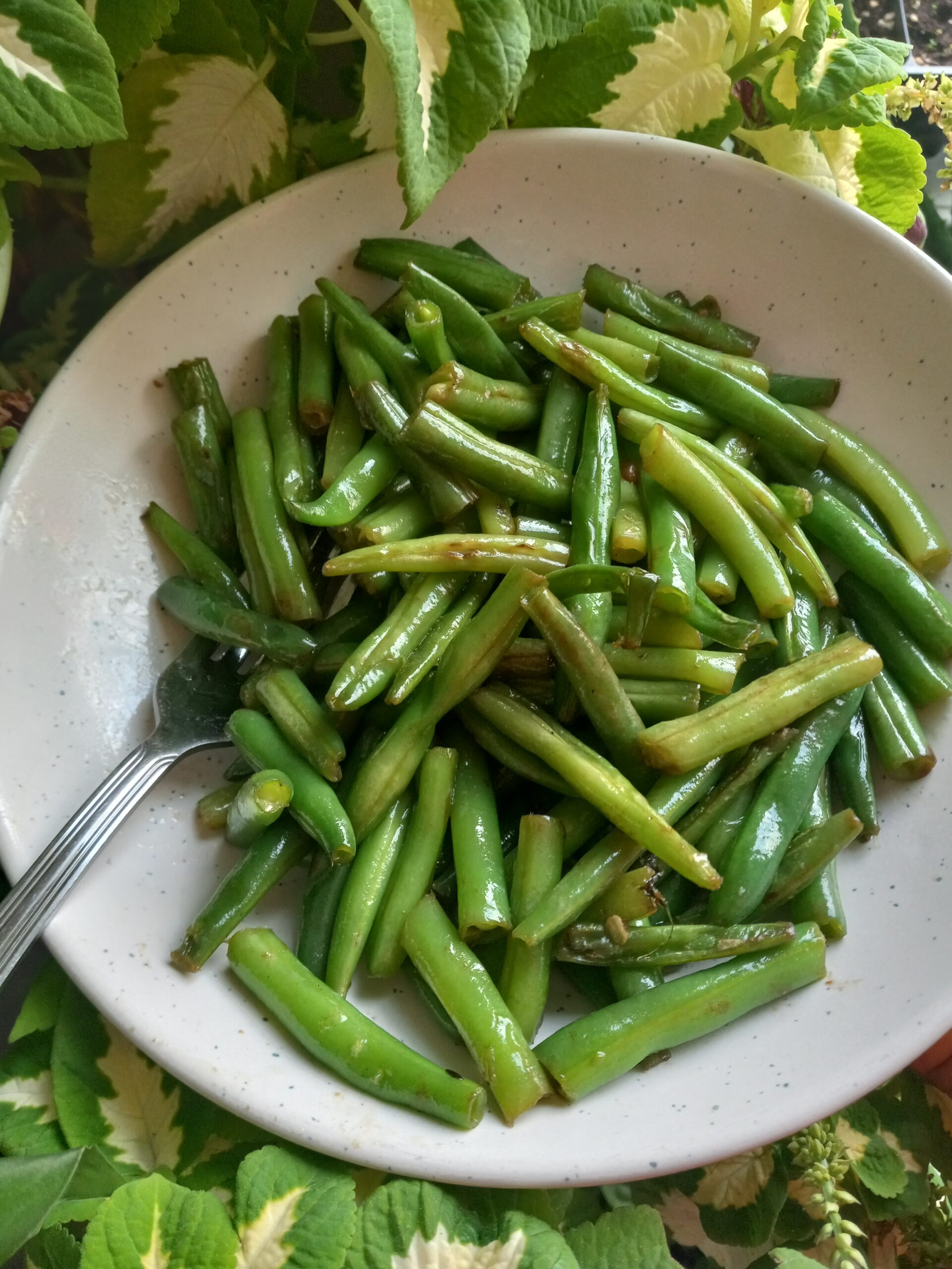 Coconut Oil Green Beans with Garlic - My Plant Base Plate