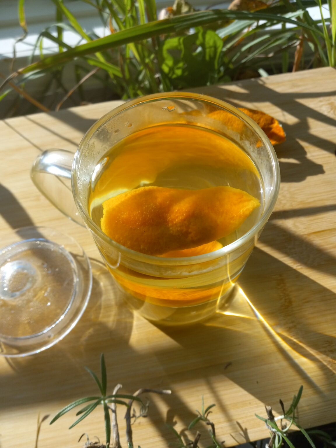 Immunity Boosting Orange Peel Tea - My Plant Base Plate